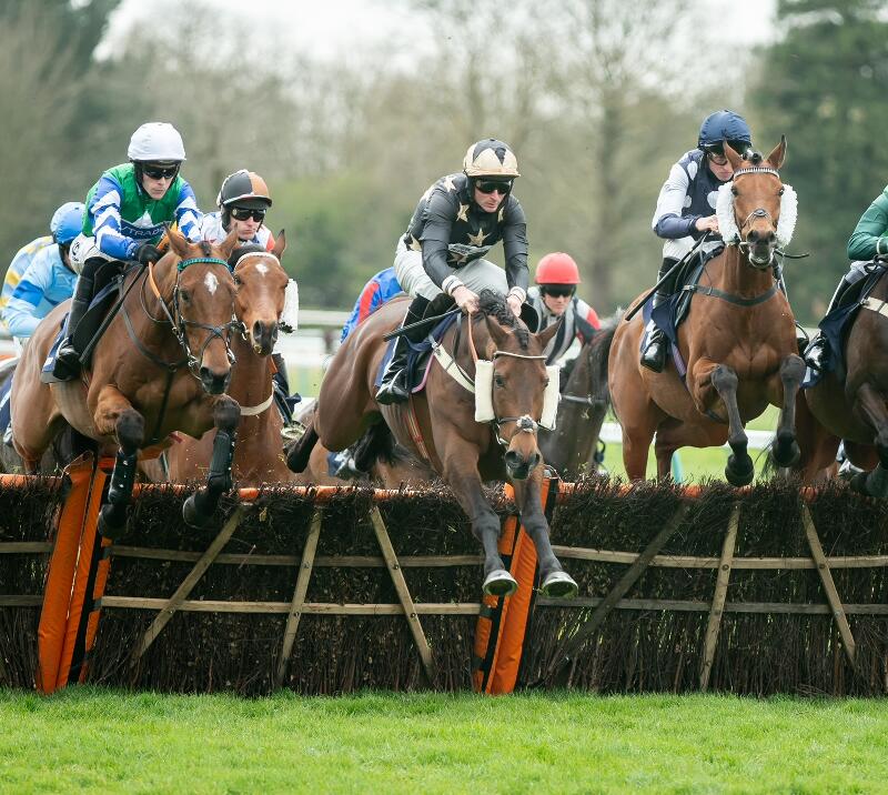 Owners & Trainers | Fontwell Park