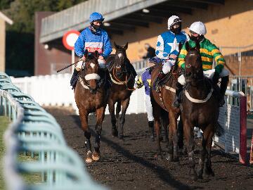Fontwell Park Racecourse