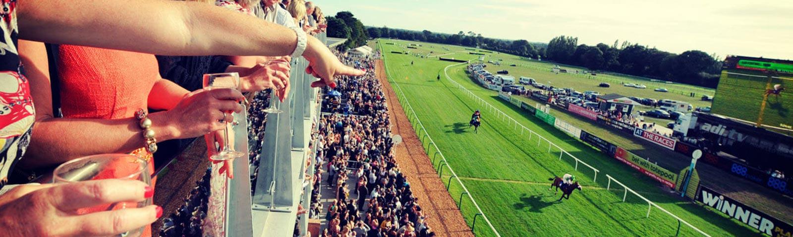 Fontwell Park Racecourse