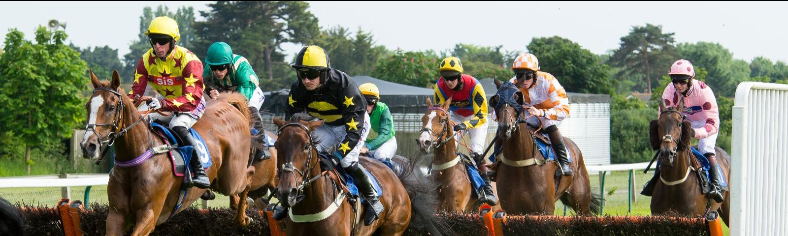 Fontwell Park Racecourse