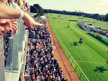 Fontwell Park Racecourse